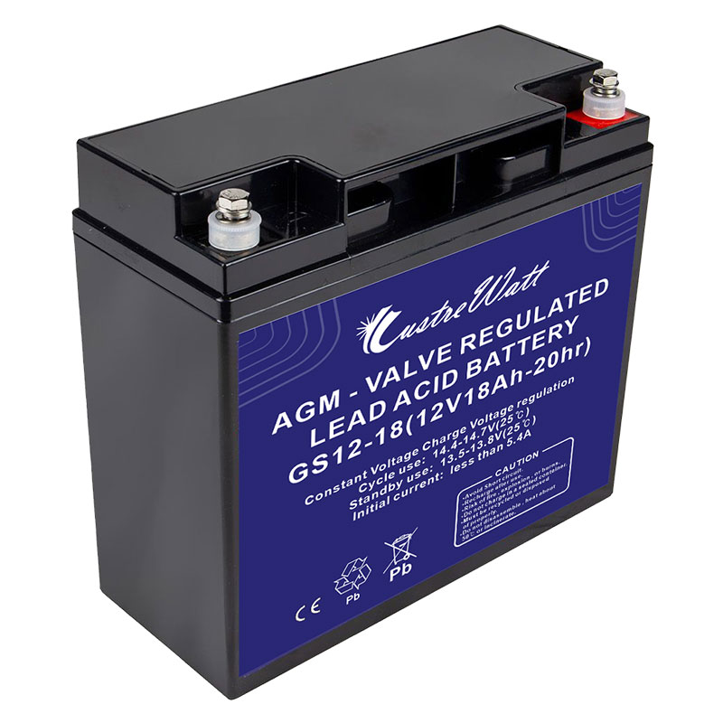 General Standard AGM Lead Acid Battery-New Energy Products-Lustre Power ...